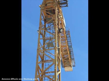 GRUE À TOUR POTAIN H30-40: POTAIN à 60000 € | 74100 : ETREMBIERES Haute ...